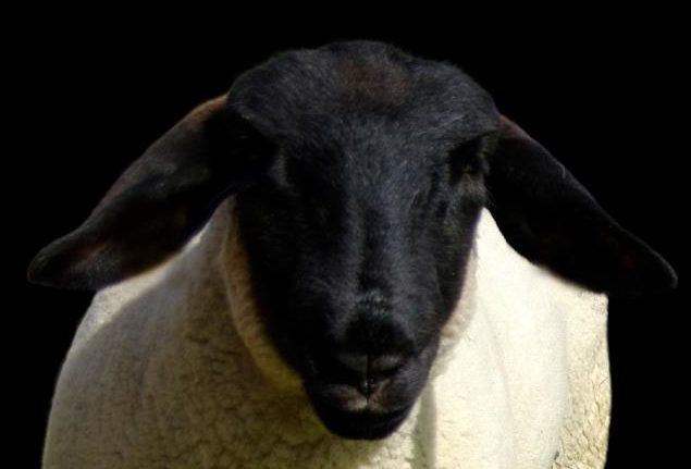 Extension Iowa County – Page 3 – University of Wisconsin-Madison