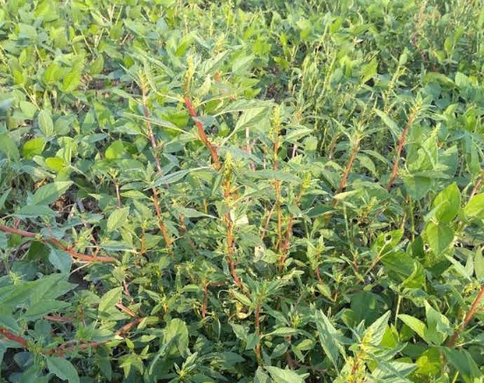 Extension Iowa County – Page 3 – University of Wisconsin-Madison